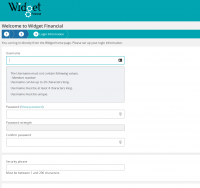 Business Online Banking - Widget Financial