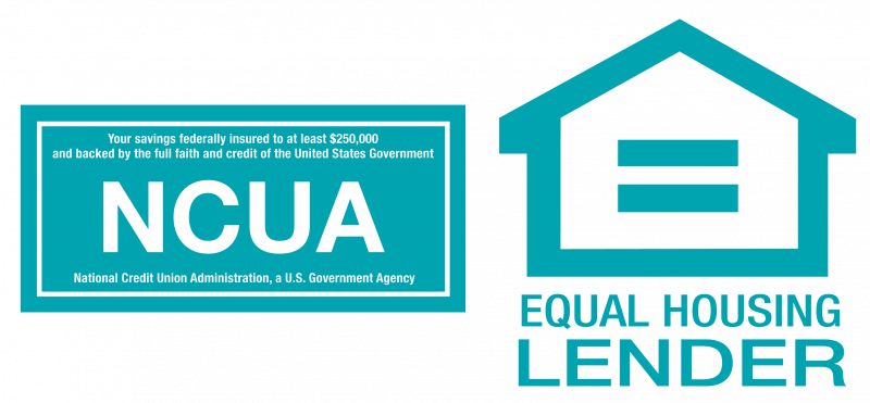 Visa Credit Card - Widget Financial