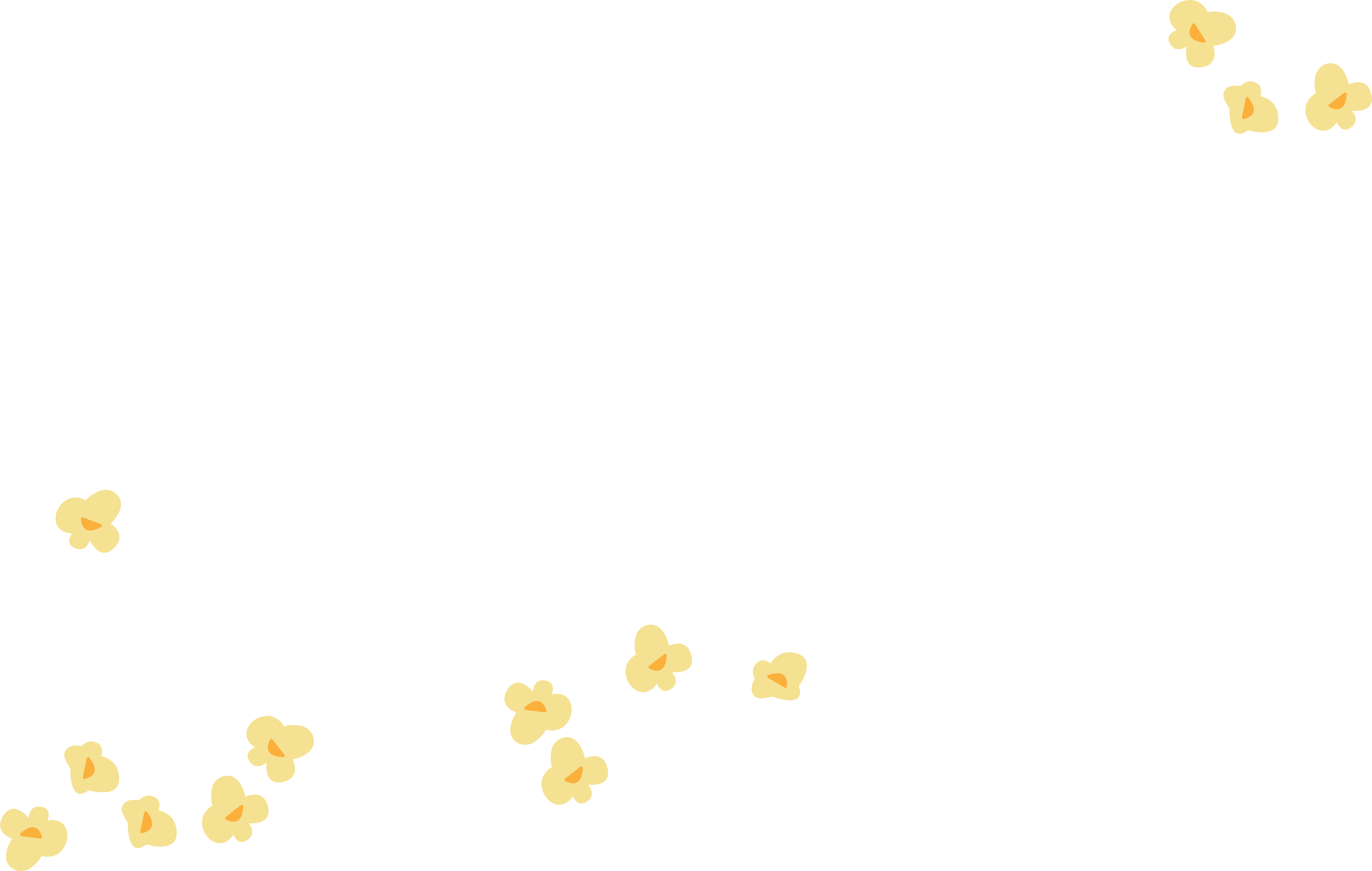 Widget Financial - Erie PA Credit Union